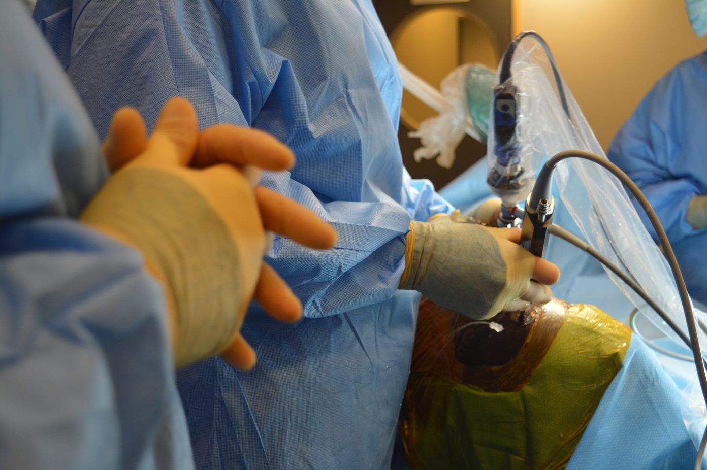 Surgery - Glasgow Equine Hospital & Practice