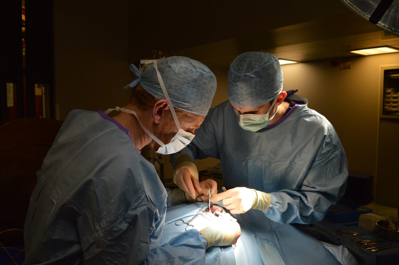 Surgery - Glasgow Equine Hospital & Practice